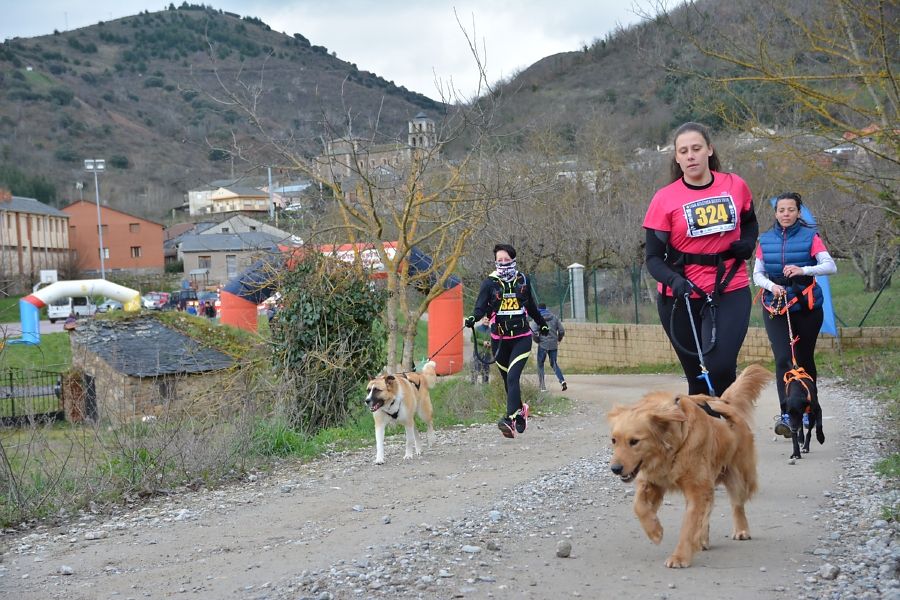 Perros con alma de atleta en la Dog Race de Villar