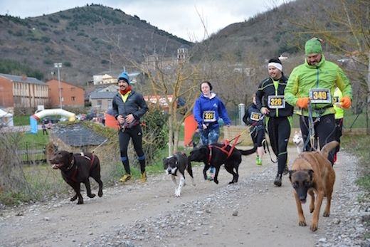 Perros con alma de atleta en la Dog Race de Villar