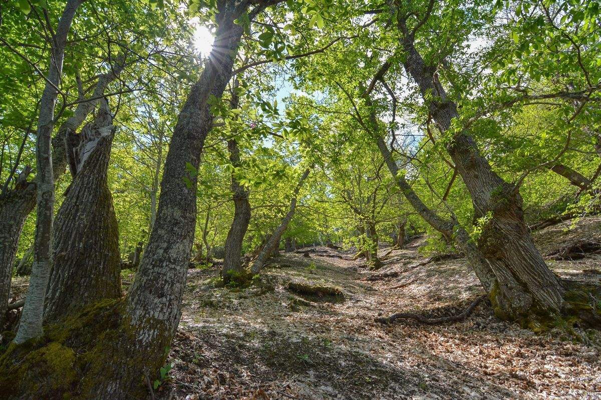 La falta de ‘stock’ lleva a Diputación a pedir al ITJ cambiar el plan ...