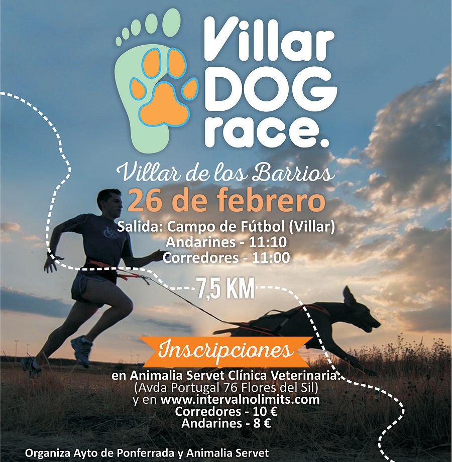 La II Dog Race de Villar de los Barrios permitirá correr con perros del ...