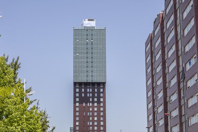 El espíritu blanquiazul abandera la Torre de la Rosaleda
