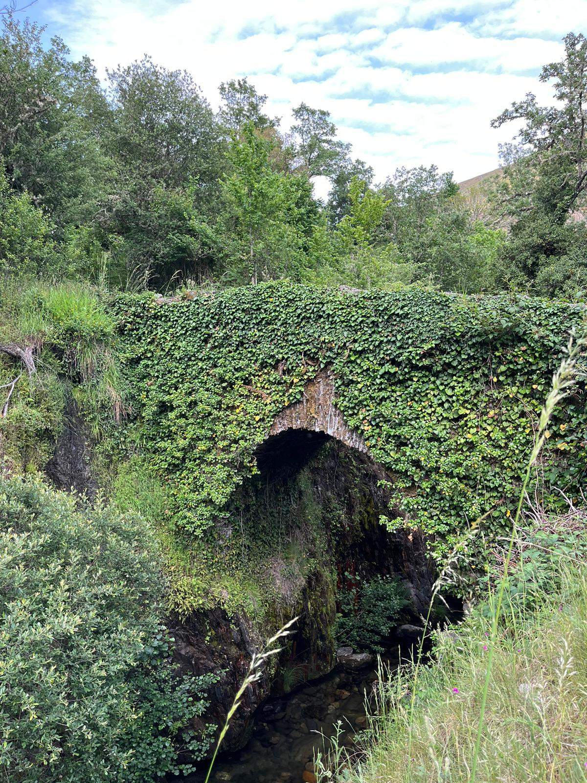 Burbia: Del cielo a la raíz del Bierzo