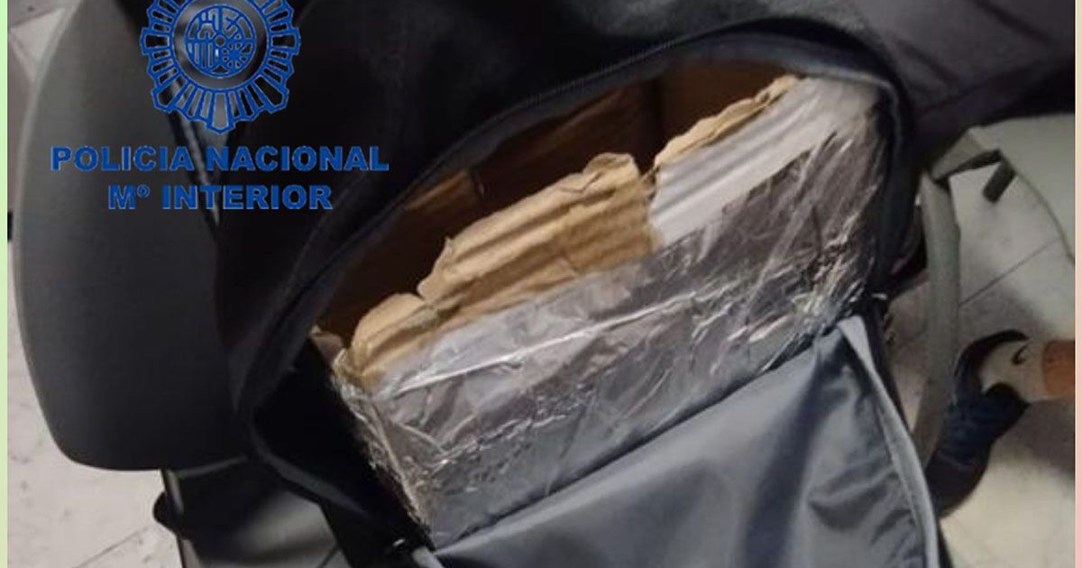 Detenido en León un hombre que usaba bolsas forradas de aluminio para ...
