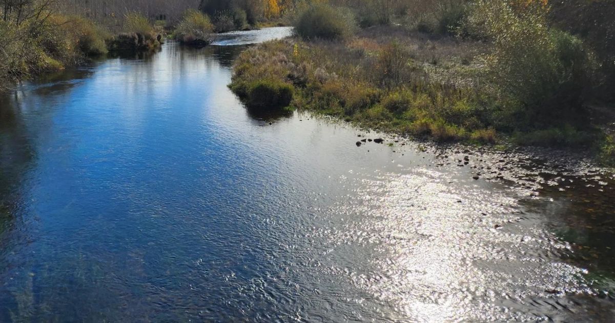 La CHD activa el nivel naranja de alerta por crecidas en el río Órbigo ...