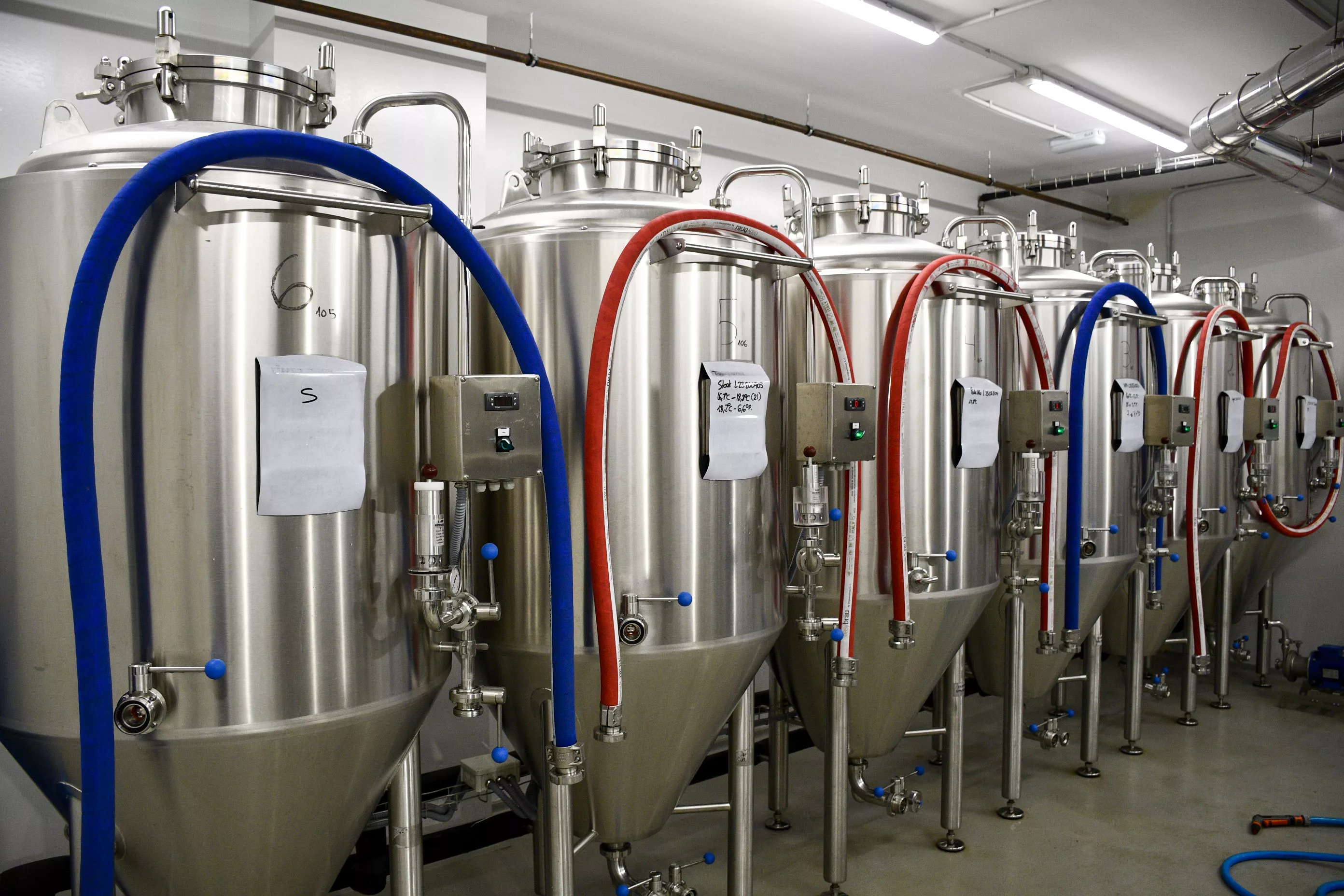 Baylina, la nueva cerveza que saca ‘receta’ al patrimonio del Bierzo