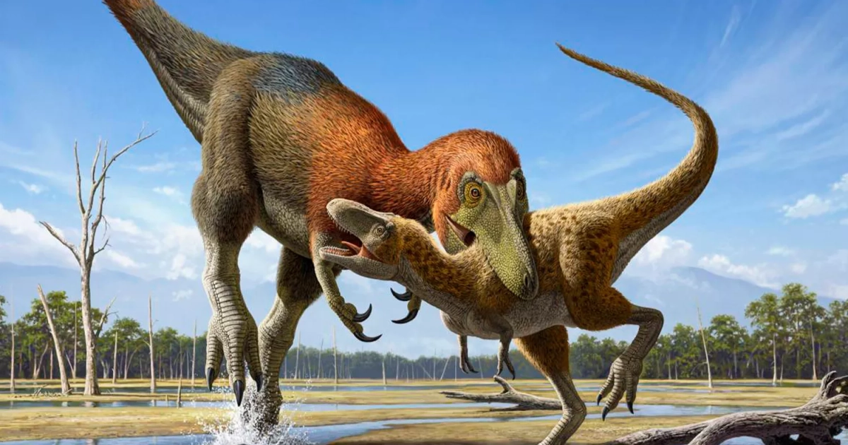 Fósiles que se creían de 'Tyrannosaurus rex' son una especie distinta ...