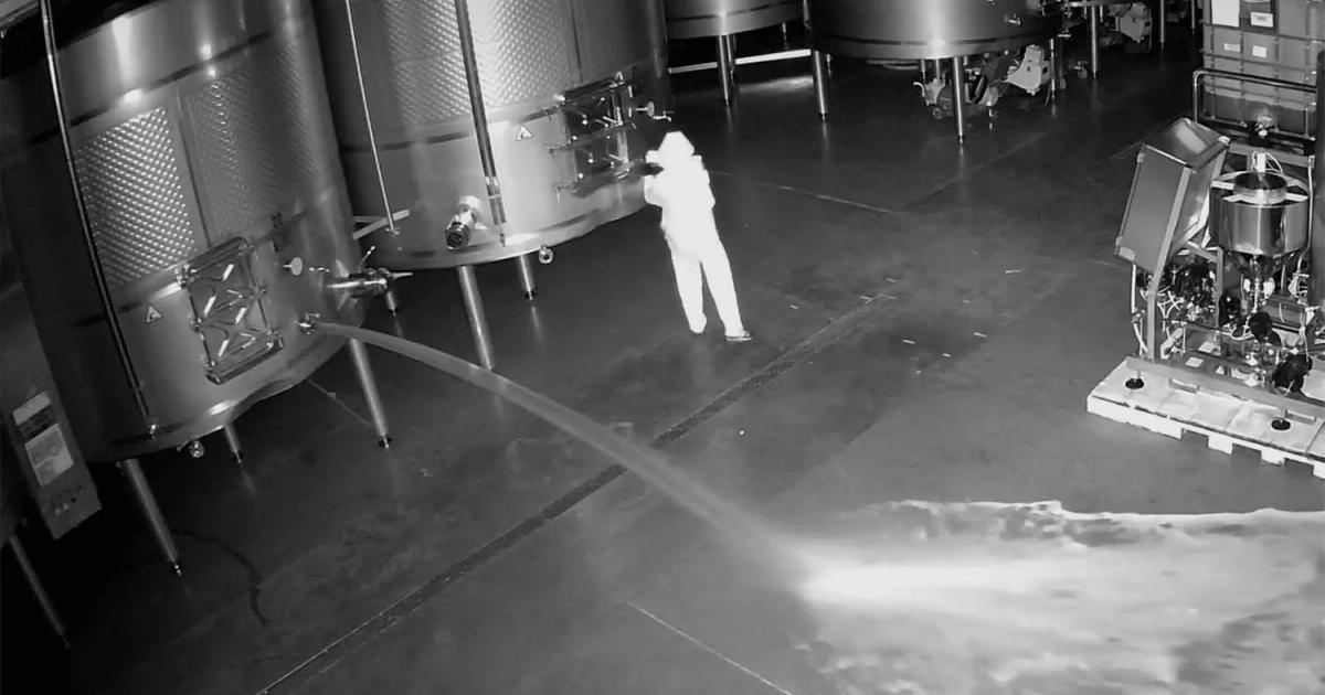 Asaltan la bodega Cepa 21 y vacían 60.000 litros de los vinos de la ...