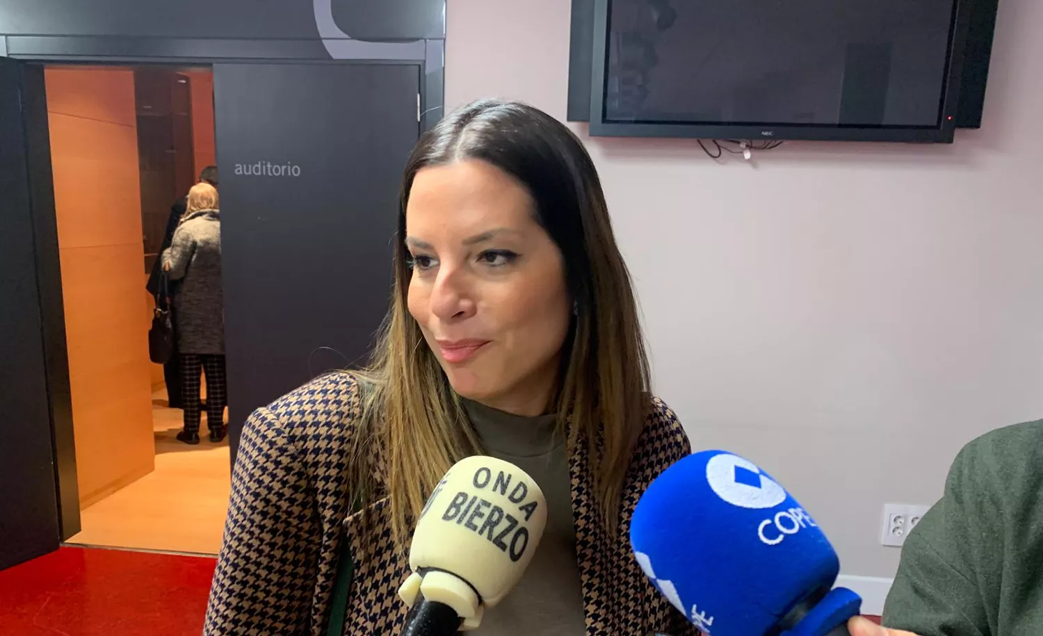 El presidente del PSOE de Castilla y León niega que la destitución de ...