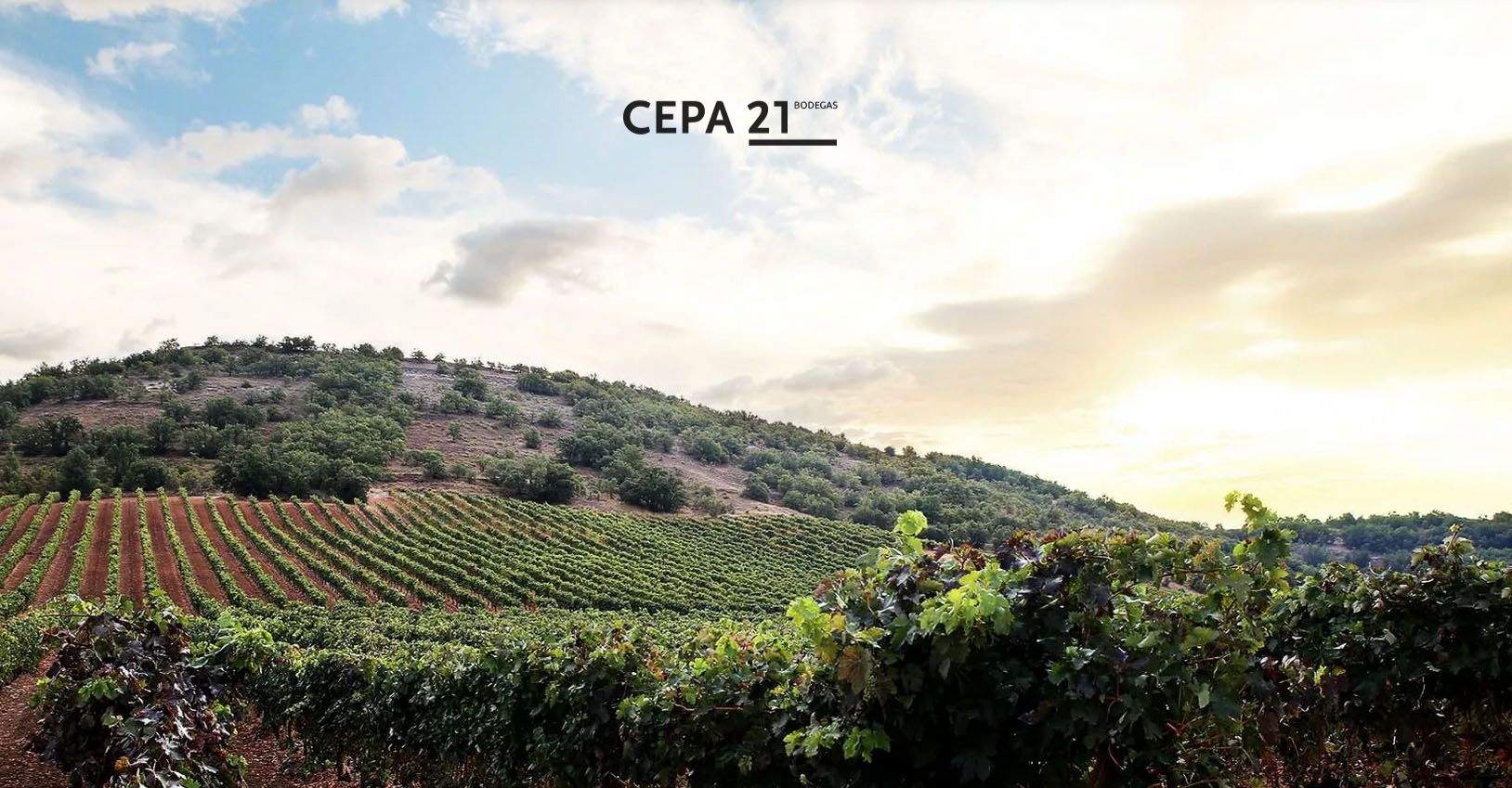 Bodegas Cepa 21 reúne de manera virtual a más de 200 personas para la presentación de su nueva ...