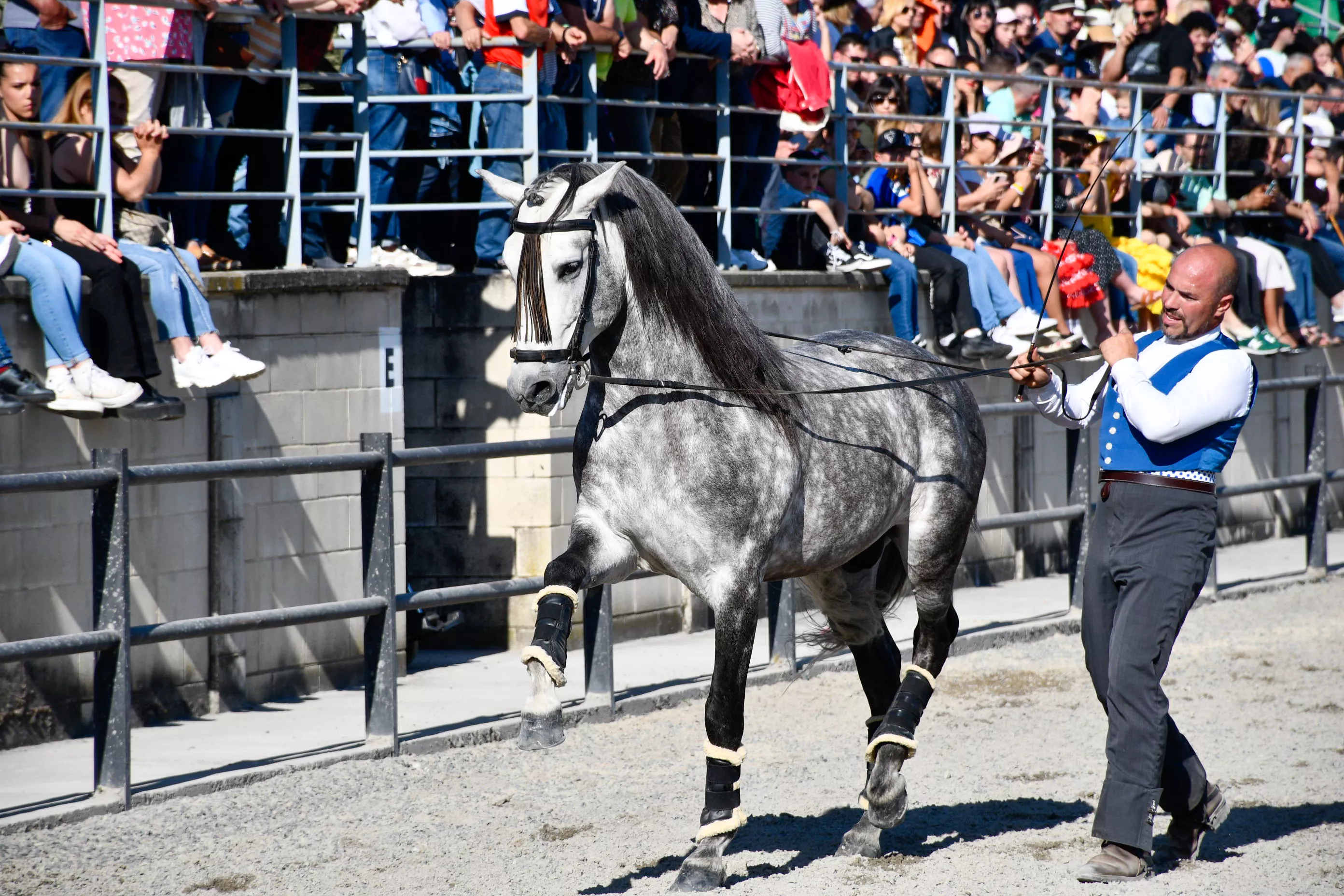 Camponaraya a 'pura sangre' en la Feria del Caballo