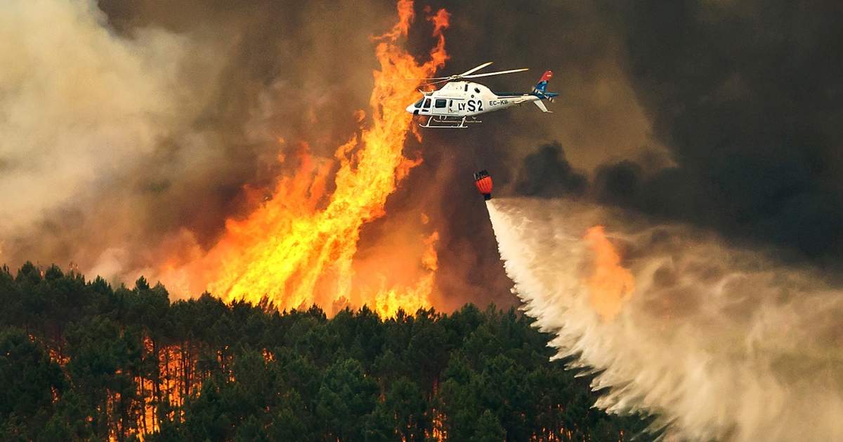 Radiografía de los incendios forestales en la provincia de León en 2024 ...
