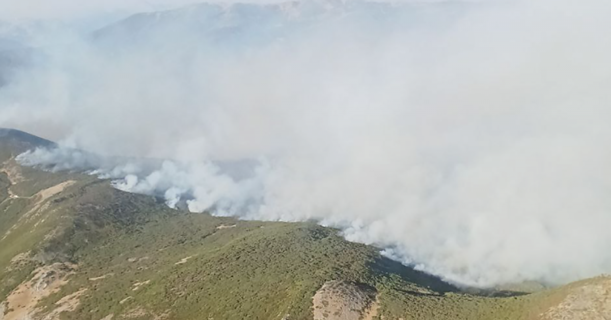 La investigación del incendio forestal de Pendilla de Arbás (Villamanin) apunta a un origen ...