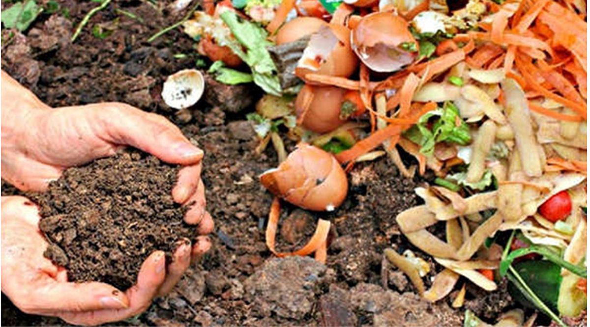 Grupo Lucas y el compostaje