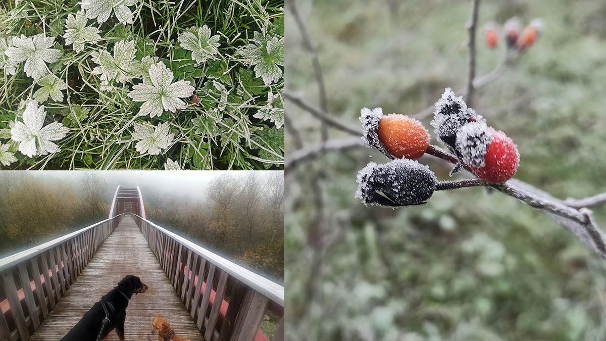 La helada 'se apodera' de Ponferrada con temperaturas mínimas por ...