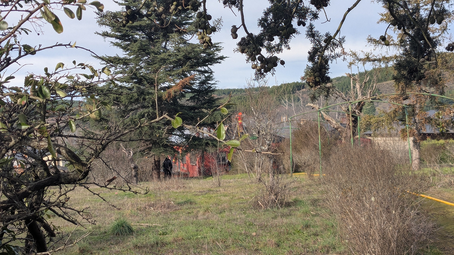 Incendio en el tejado de una vivienda unifamiliar de Molinaseca