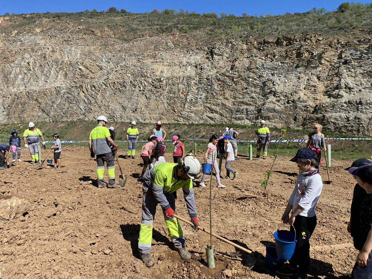 Dos grupos de escolares participan en una plantación de árboles en la ...